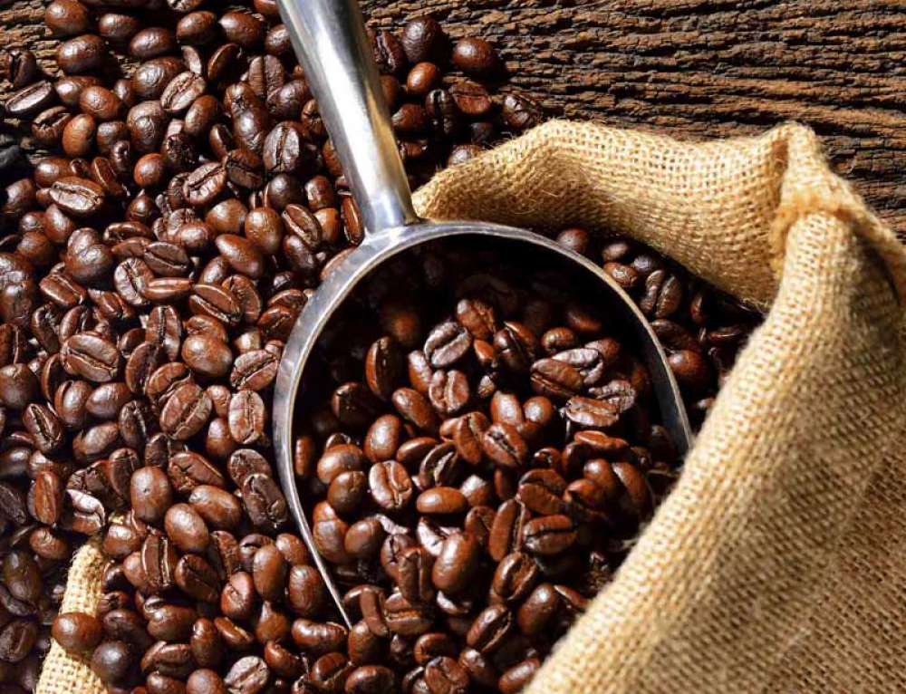 Brewing Excellence: A Journey through the Rich History of Coffee in ...